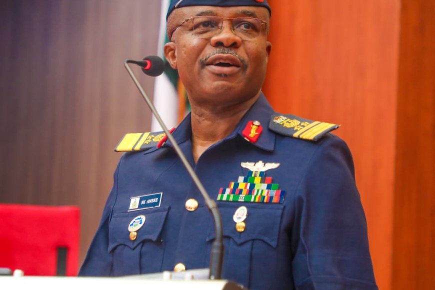Flying Smarter, Striking Harder: Air Marshal Aneke Charts Course for an ...